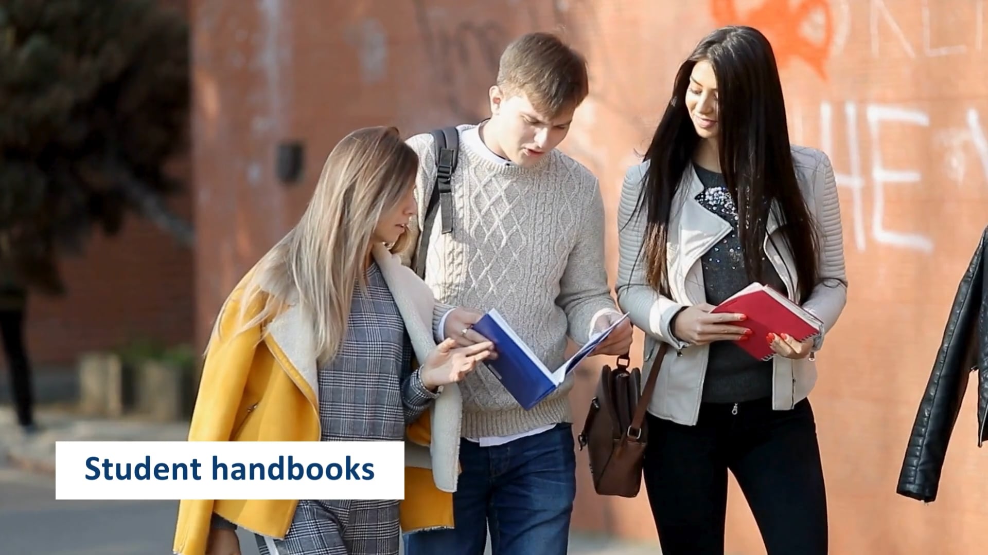 Module 6: Connecting Celebrating & Sustaining Community